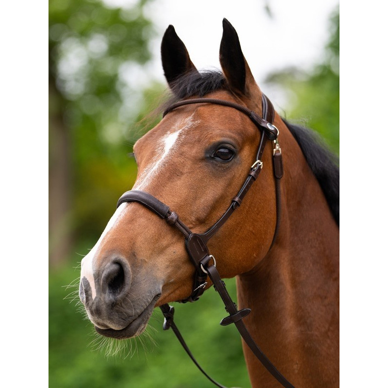 Bridon Bitless Origin Jump'In - Equipement cheval