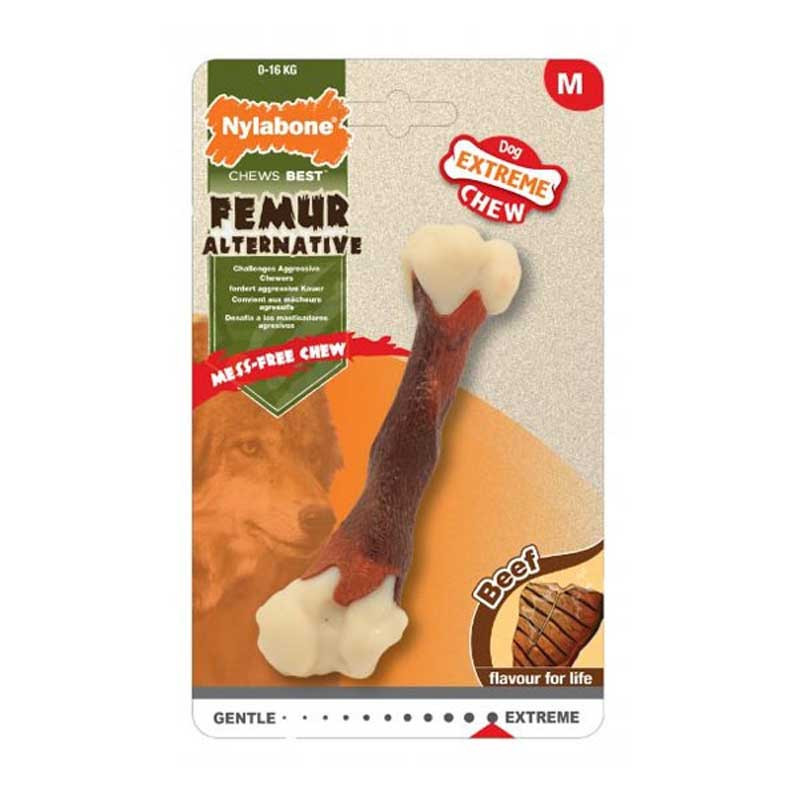 Os Extreme Femur Beef Bone Nylabone - Friandise chien